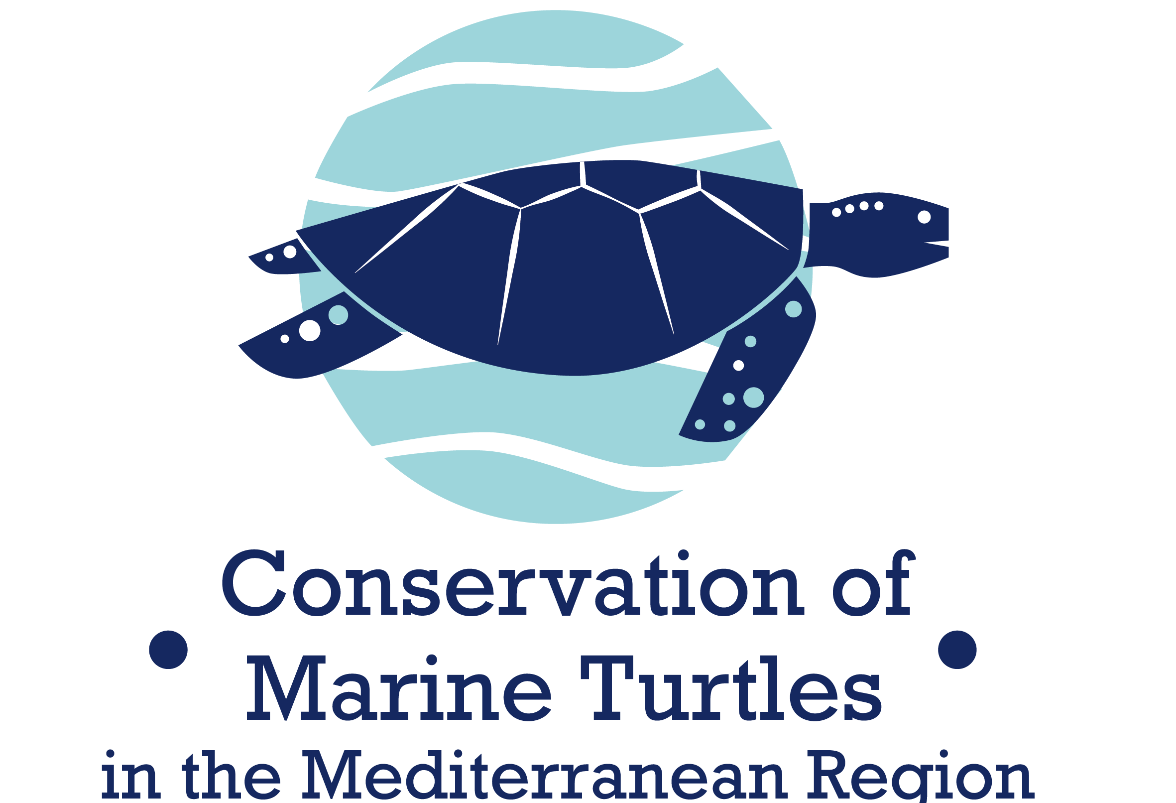 Sea Turtle Conservancy Logo